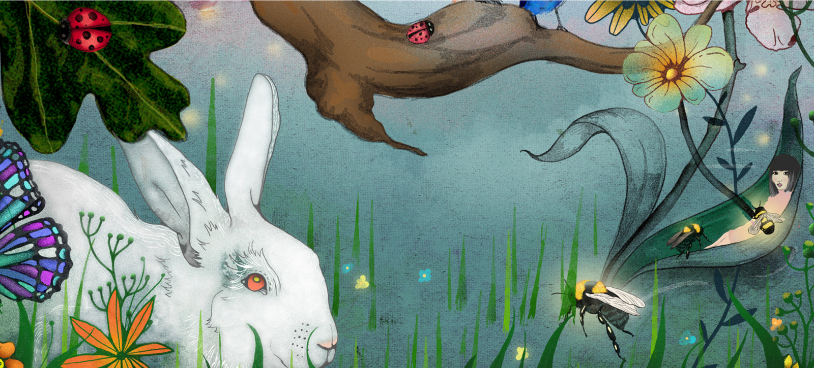 Wonderland Collection | Nature's Playful & Ethereal World – Mimi So